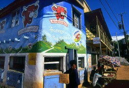 Tutti al museo della "mucca che ride"! - Il Magazine del viaggiatore